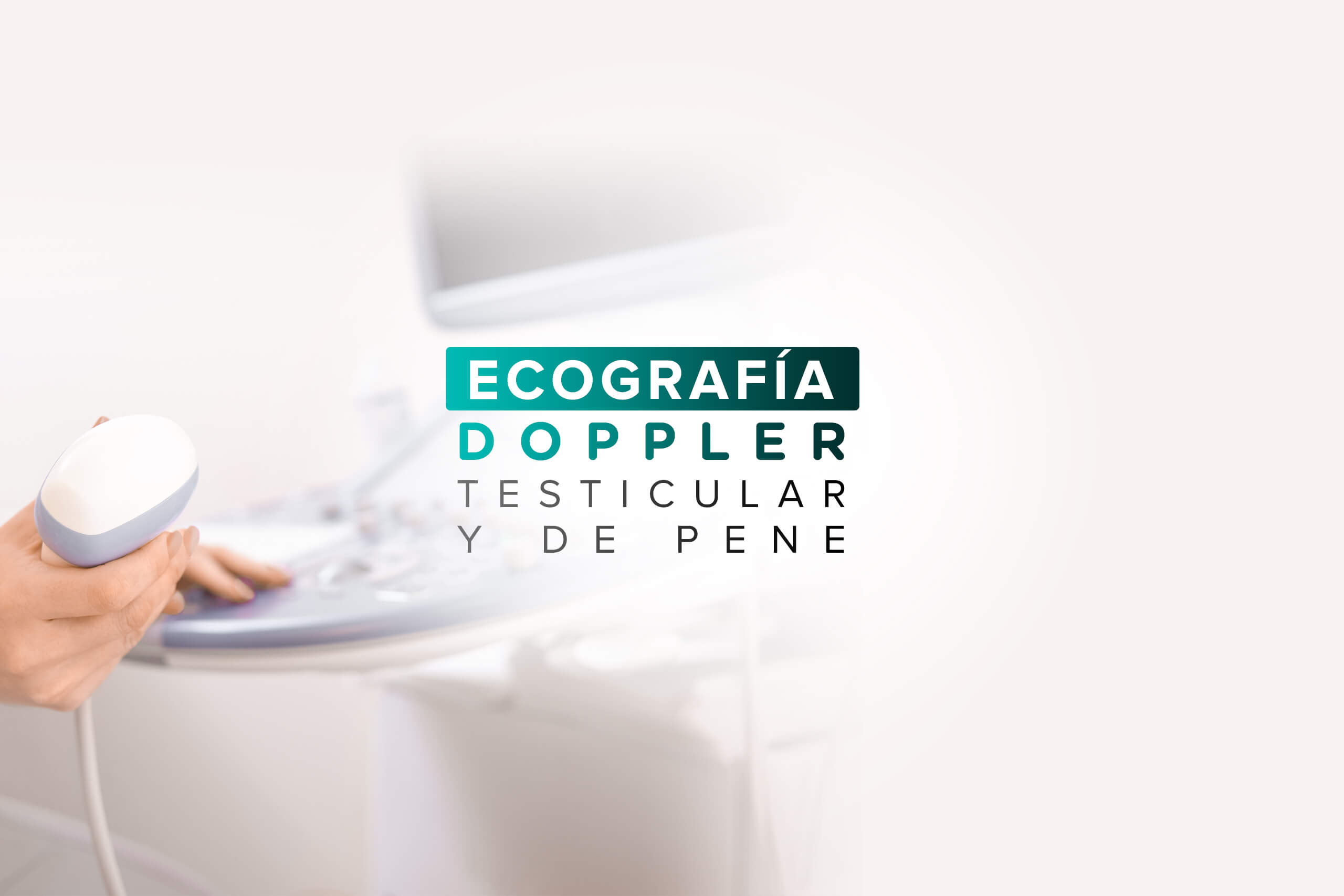 Ecografía Doppler Testicular Y De Pene Venegas Salud